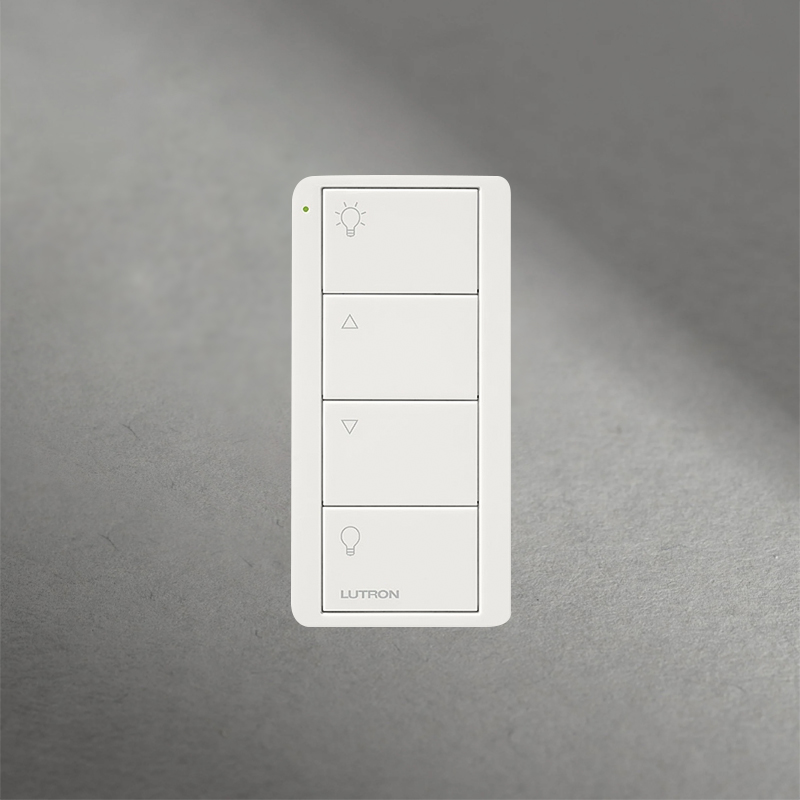 Control inalámbrico Pico 4 Botones Blanco. - La Iluminoteca